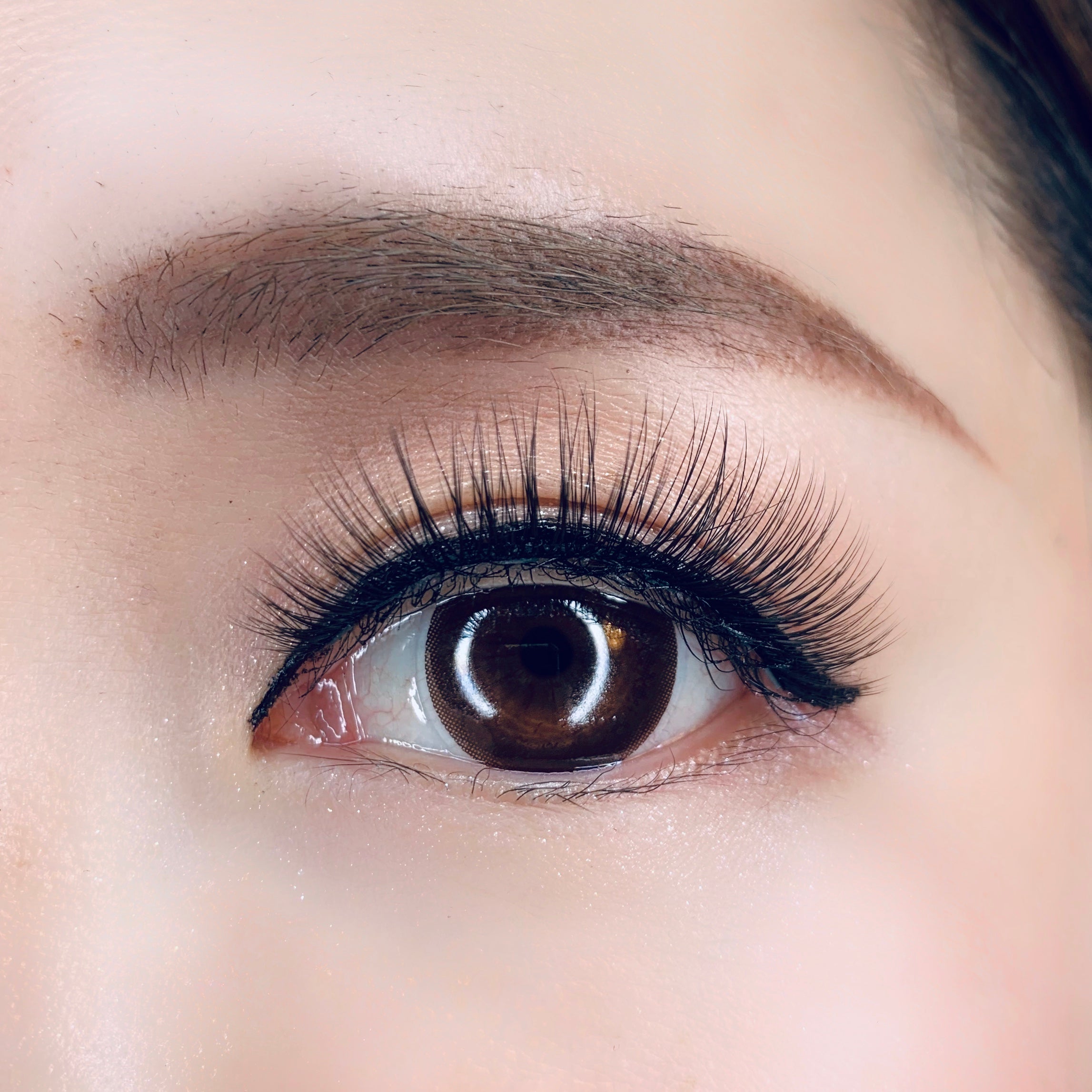 Cinderella - Youthphoria - Magnetic Eyelashes Australia – Youthphoria ...