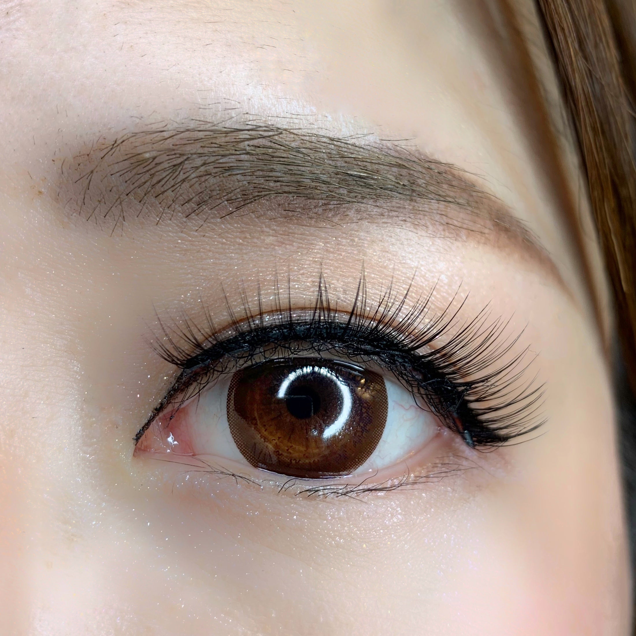Best Magnetic Eyelashes Australia - Jasmine - Youthphoria – Youthphoria ...